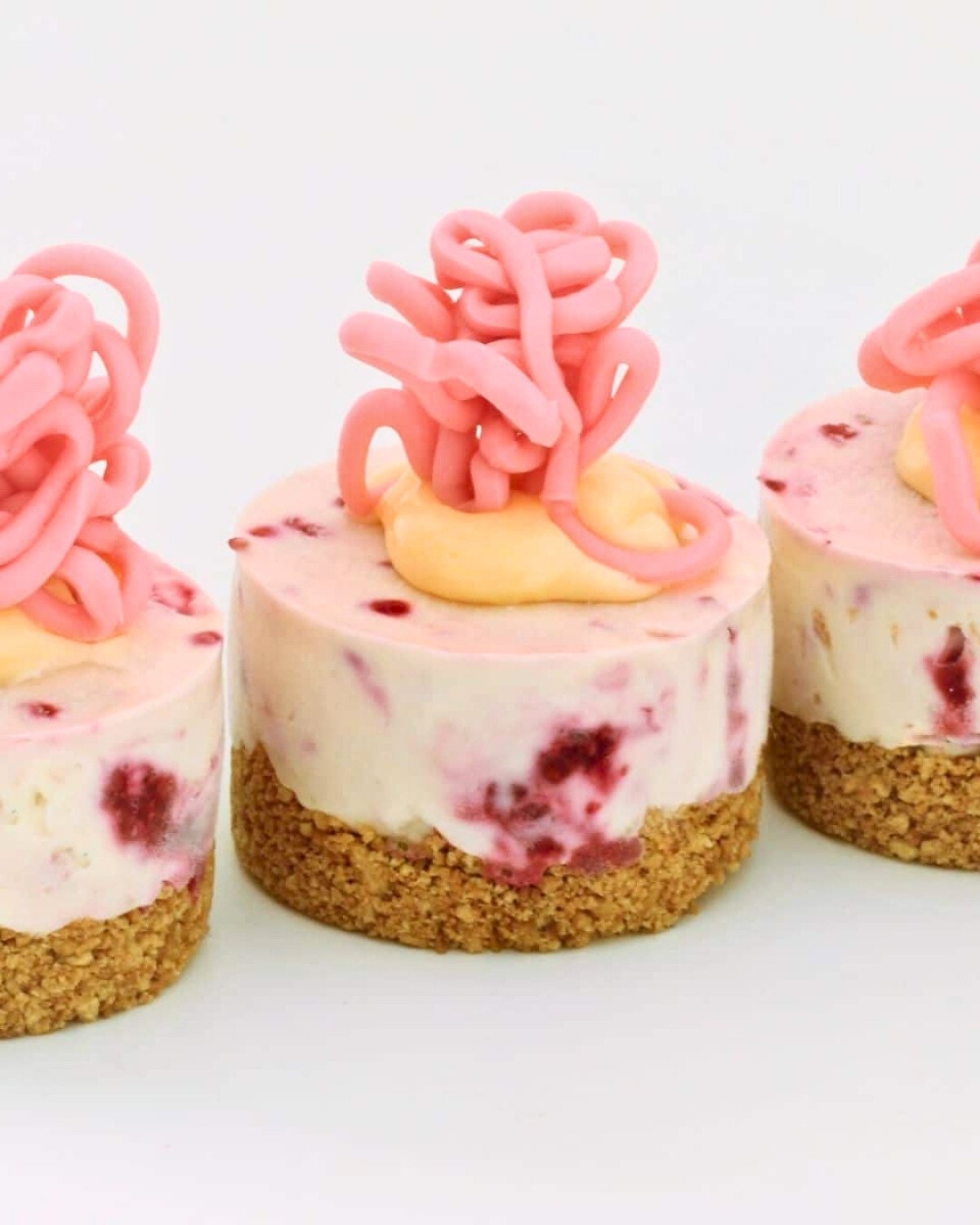 Raspberry Cheesecakes with White Chocolate Mini Cheesecake